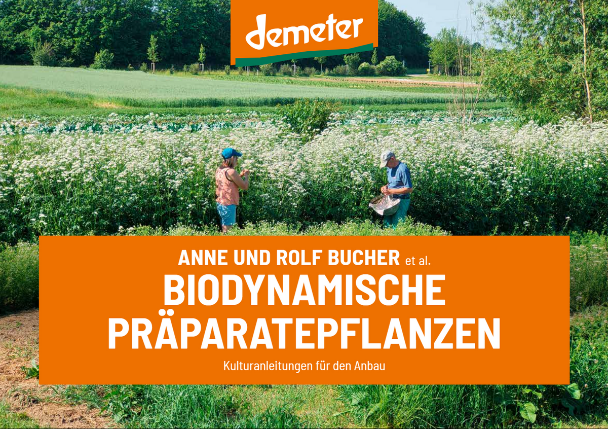 Biodynamische Präparatepflanzen — Glomer Buchversand