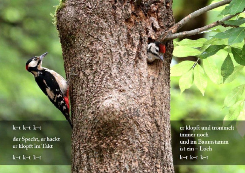 Specht — Glomer Buchversand